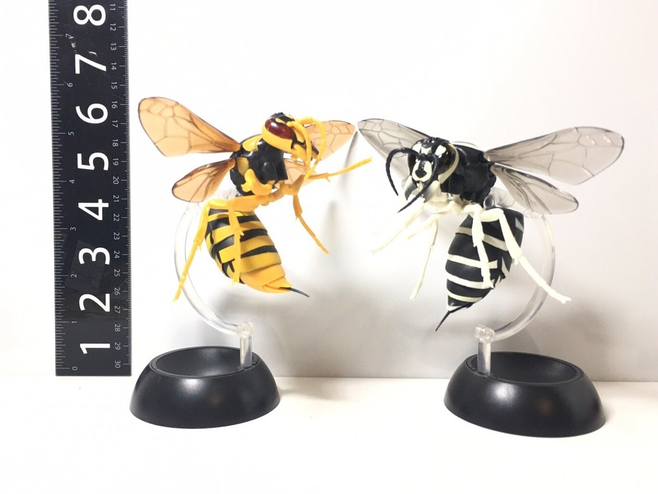 Bandai Dango Mushi Suzumebachi Hornet Wasp & Cross Hornet Wasp Insect ...