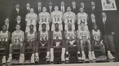 THE 1994-95 CHICAGO BULLS TEAM PICTURE W/Michael Jordan NBA Basketball ...
