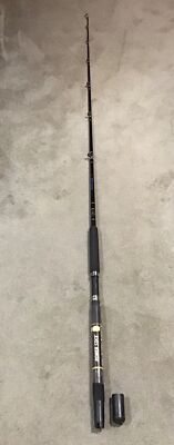 Rods - Penn Power Stick