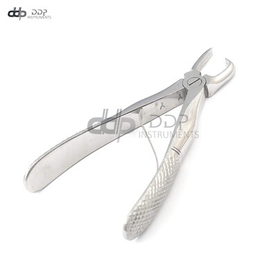 Tartar Remover Forceps Small Size 4½" Dental Veterinary Surgical | eBay