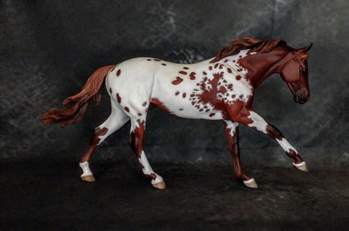 Breyer Horse Model, OOAK Custom, Australian Stock Horse Appaloosa, by B ...