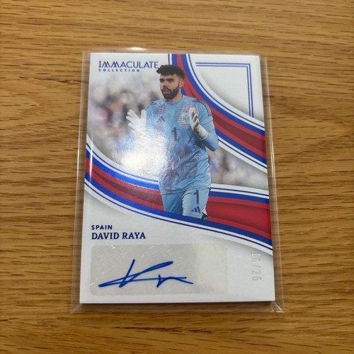 David Raya autograph card 16 25 autograph | eBay