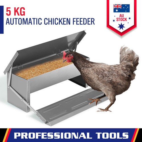 5kg Automatic Chicken Feeder Chook Food Feeder Capacity Treadle Self ...