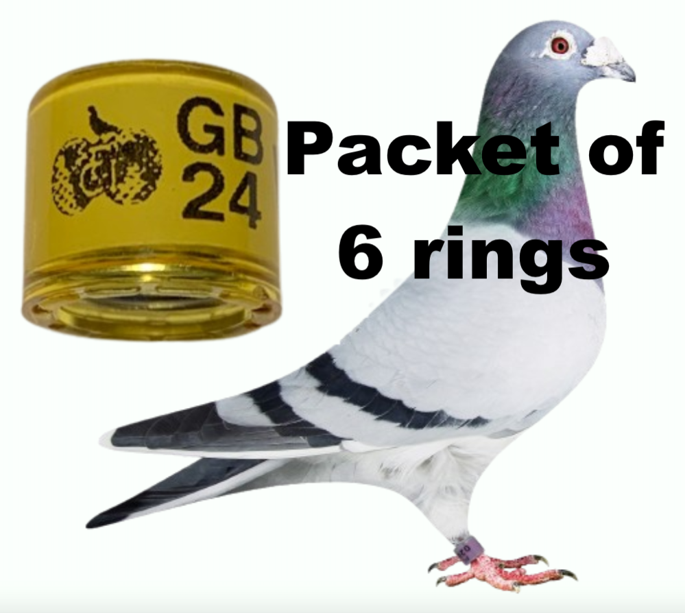 RPRA racing pigeons rings GB 2024 - breeding UK ,original GB24 ...