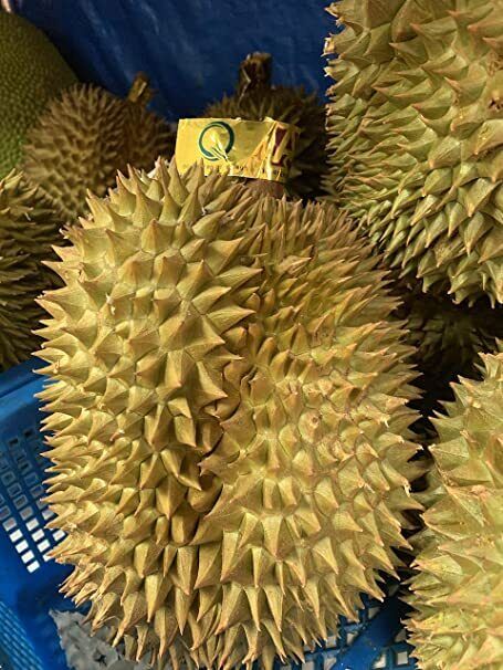 1 whole FRESH - FRESH Durian 4.5 - 6 lbs | eBay