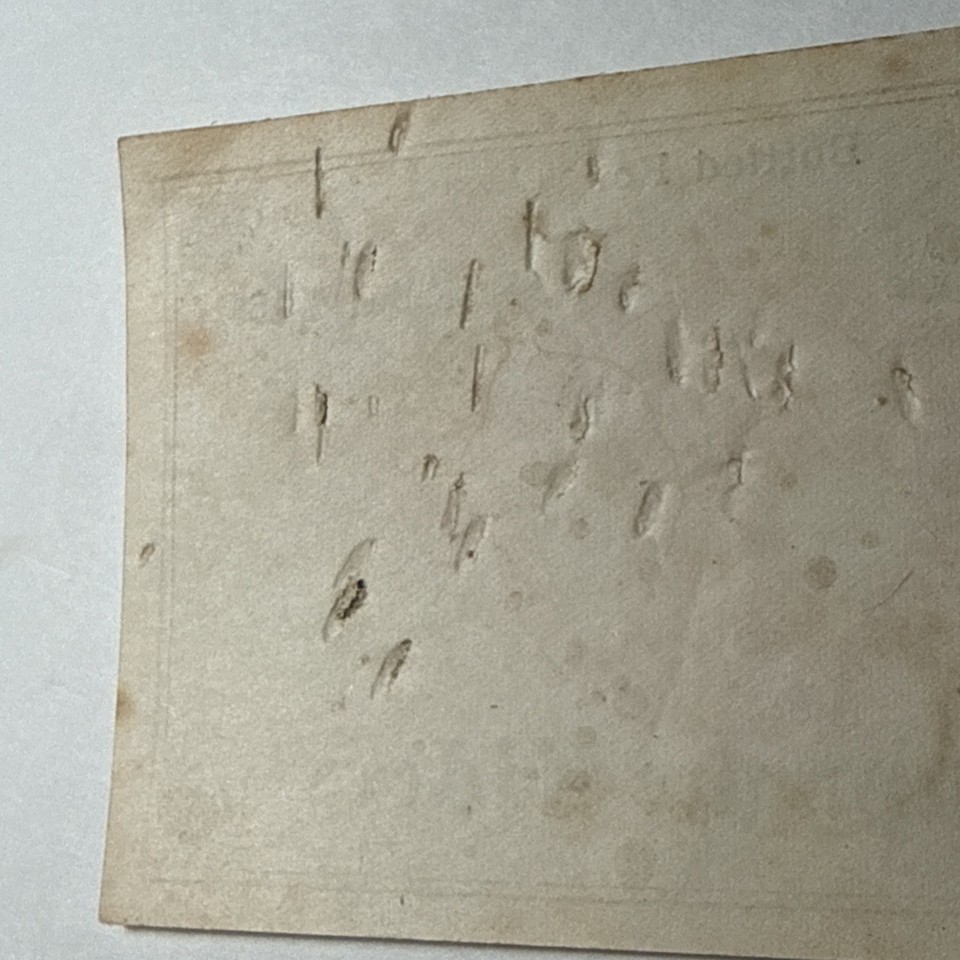 Antique Champagne Cider Label Theodore Stewart John Warren NY Vtg Est ...