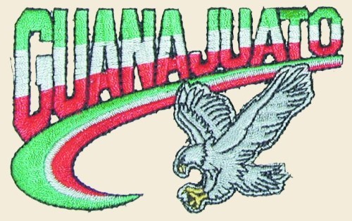 Guanajuato Mexico Swoosh Patch Bandera Flag Colors | eBay