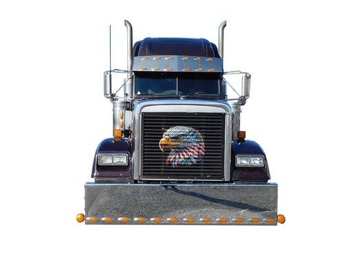 Freightliner Classic/FLD120/FLD132 Premium Patriotic Bug Screen with ...