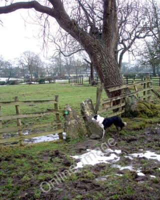 Photo 6x4 Clapper stile on the Boldron Well walk Barnard Castle ...