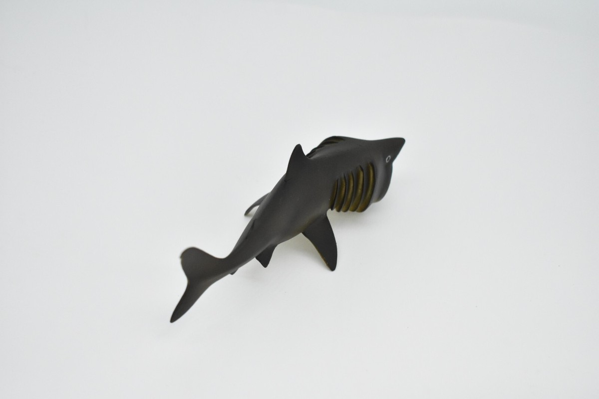 Basking Shark Spiser Plankton