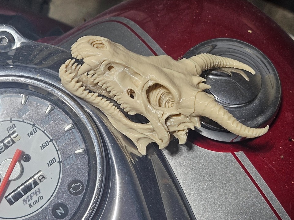 small Dragon head skull bone color mystical animal fantasy gift sharp ...