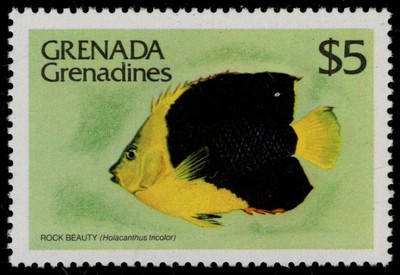 GRENADA-GRENADINES 409 - Rock Beauty Angelfish "Holacanthus tricolor ...