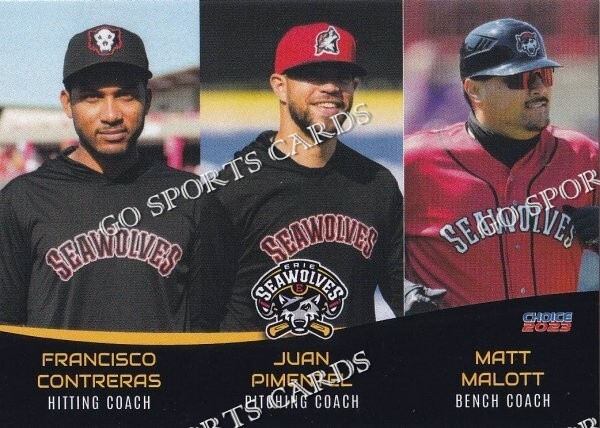 2023 Erie SeaWolves Francisco Contreras Juan Pimentel Matt Malott ...