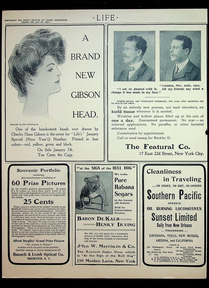 C. Allan Gilbert COVER ONLY Life Magazine December 24 1903 Lady Under ...