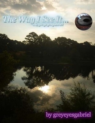 The Way I See It... by Gabriel B. McBride (English) Paperback Book ...