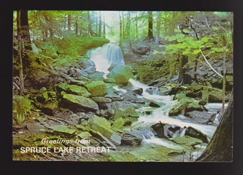 PENNSYLVANIA PA Canadensis Spruce Lake Retreat CONTINENTAL Postcard | eBay