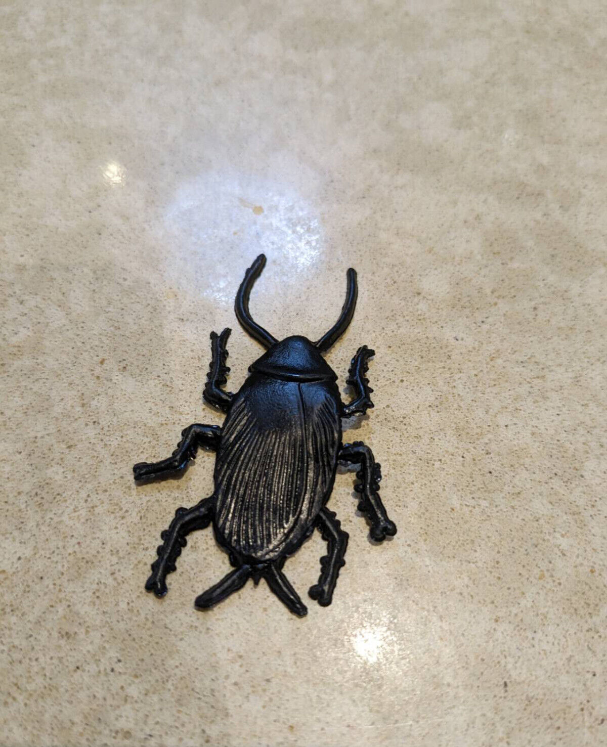 10pcs Fake cockroaches cockroach Insect Model Toy Fun Halloween Scary ...