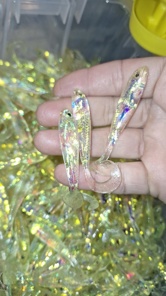 (20) RARE FISHING BAITS LURES BASS CRAPPIE SWIMMING DARTING MINNOW SHAD ...