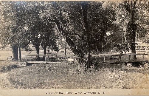 RPPC View of the Park, West Winfield, NY Real Photo Postcard *7C15 | eBay