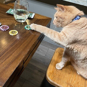 Zolton's Zoo | eBay Stores