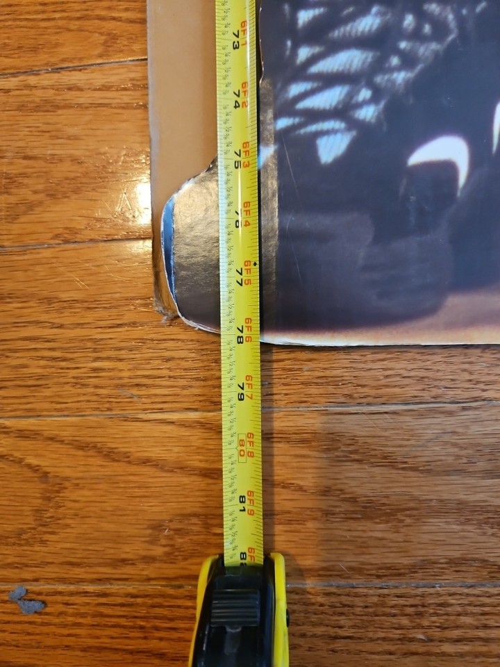 1996 Michael Jordan Life-Sized Cardboard Cutout Stand-Up - Upper Deck ...