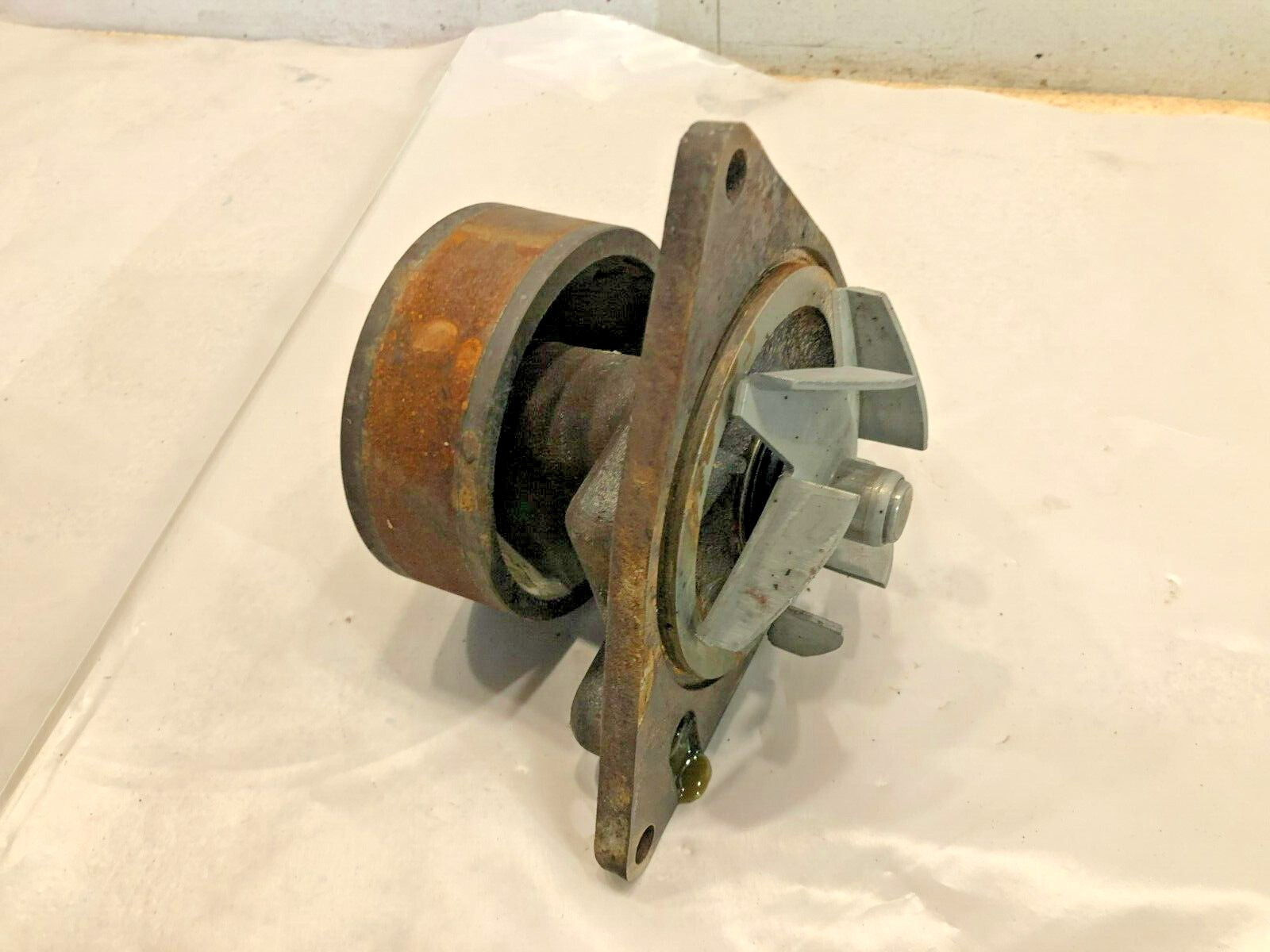 Cummins 6C8.3 ISC8.3 QSC8.3 Diesel Engine Water Pump 5579024 5528406 ...