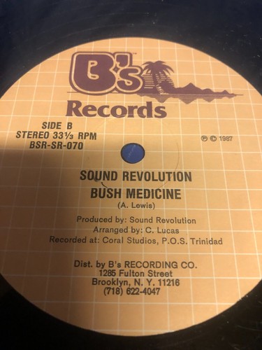 Sound Revolution – Shake It - 12" REGGAE VINYL SINGLE | eBay
