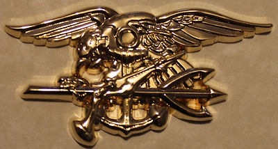 Extortion 17 Memory of Fallen DEVGRU SEAL Teammates Aug 2011 Navy ...