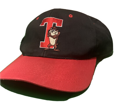 VTG 1992 Tasmanian Devil TAZ Snapback Looney Tunes Hat, TAZ Arms ...