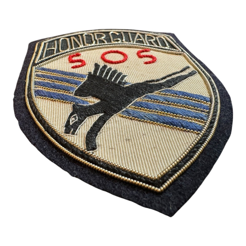 Cold War 1960s US Army 505th Airborne Infantry Regiment Honor Guard ...