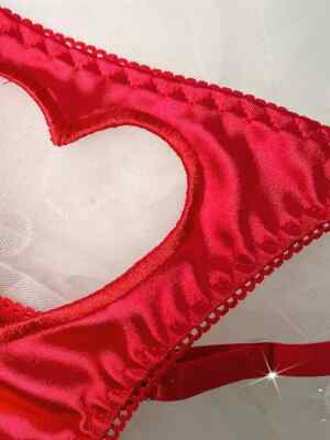 Women's Lingerie Sexy Red Pink Heart Barbie Design Thong G-String Size ...