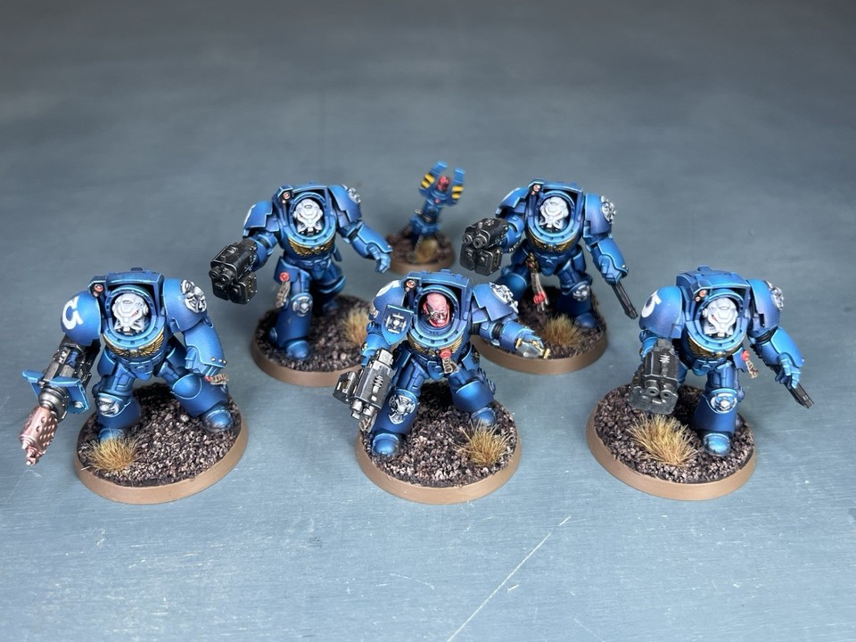 Beautifully Painted Ultramarine Terminators Space Marines 40k Well ...