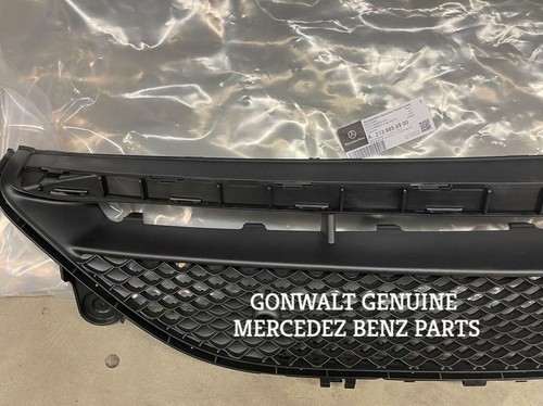 Genuine Mercedes Benz E350 450 400 53 AMG 4Matic Lower Grille OE ...