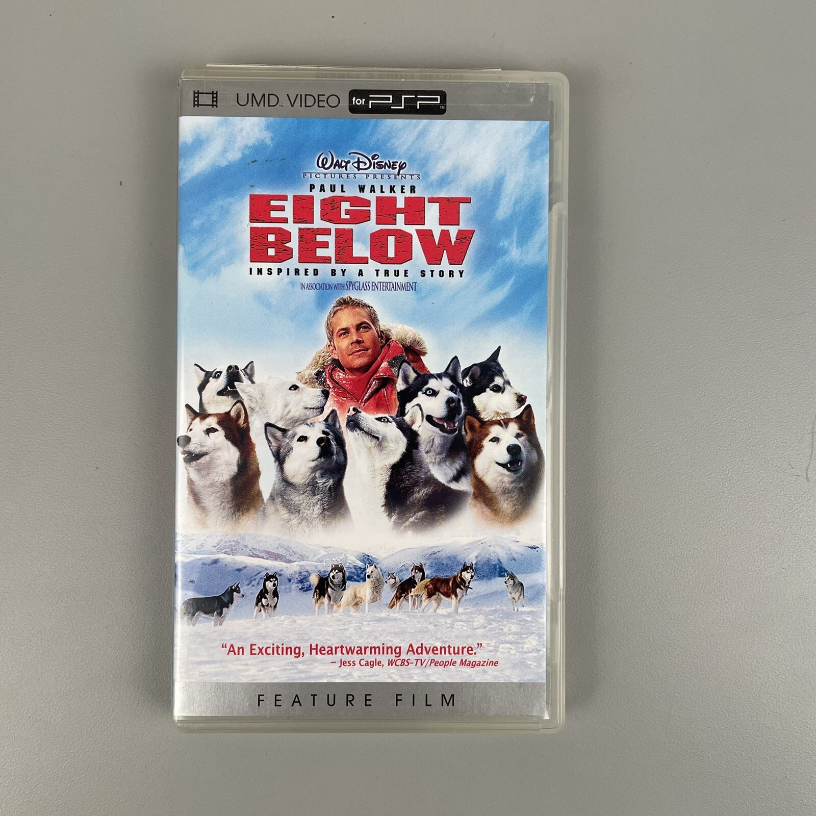 What Is The True Story Behind Eight Below
