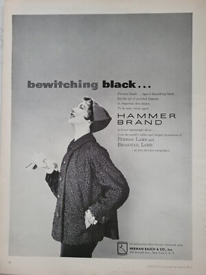 1953 Hammer Brand Persian broadtail lamb fur coat Dovima bewitching ...