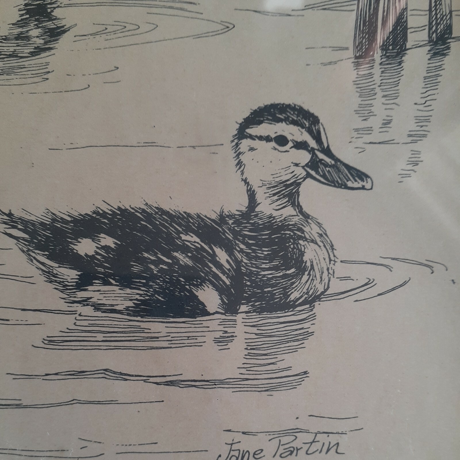 JANE PARTIN SIGNED 72/500 COLONIAL WILDFOWL GUILD OF VIRGINIA: Print of ...