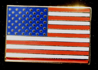 PRESIDENTIAL US FLAG HAT LAPEL PIN SARAH PALIN PRESIDENT TEA PARTY 10kt ...