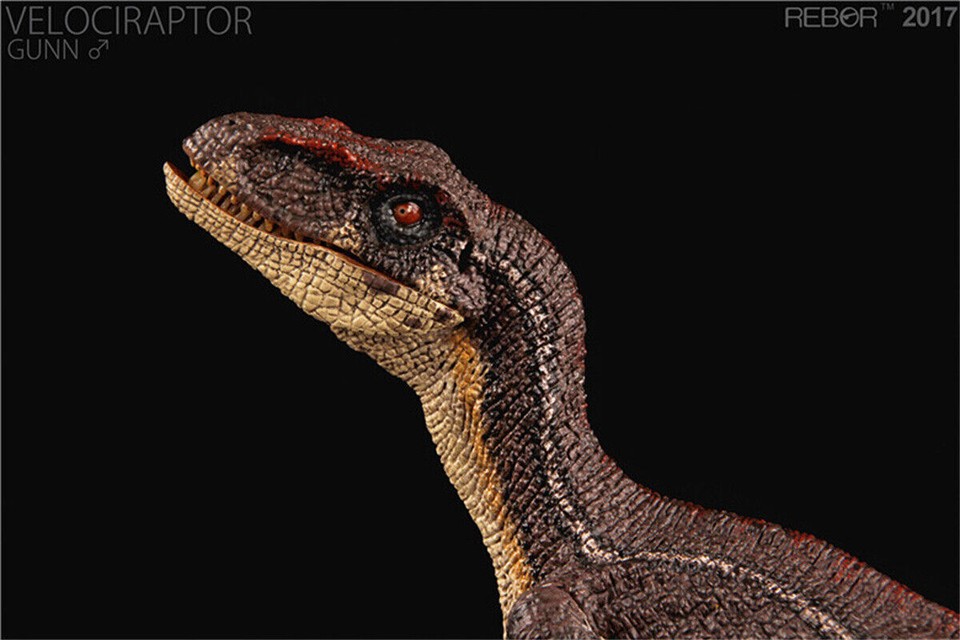 REBOR Velociraptor Couple GUNN & ROSE Figure Squatting Raptor Dinosaur ...