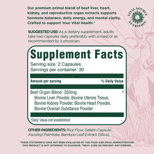 Vital Source BiFi Primal Organ Blend Capsules – Hormone Balance, Energy ...