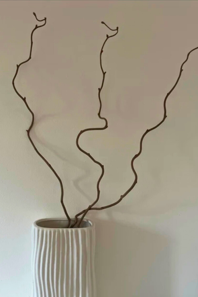Long Twisted Hazel Branches, Corylus Twigs for Vase, Japandi Branches ...