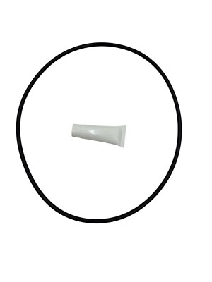 1pk +Lube fits Sta Rite 31935-0001 25230-0010S O-419 Posi-Flo II Posi ...