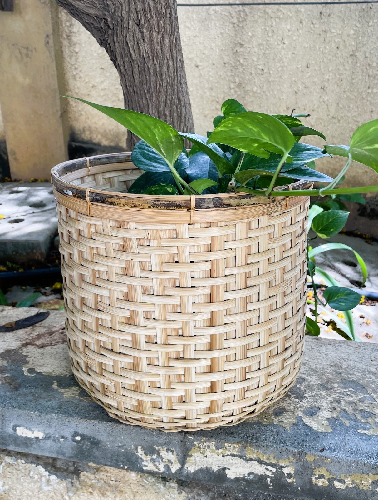 Handmade Set of 3 Eco-Friendly Baskets for Plants and Trash – Natural ...