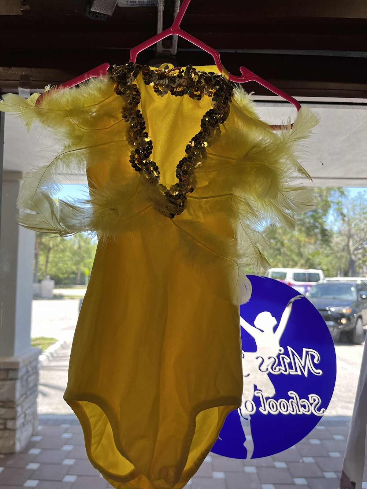 20 Feather Leotards And “cape” Dance Costumes For Gir… - Gem