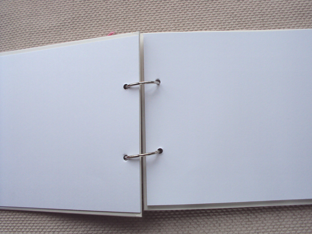 PERSONALISED HEN DO....A5 SIZE.. PHOTO ALBUM/SCRAPBOOK/MEMORY BOOK ...