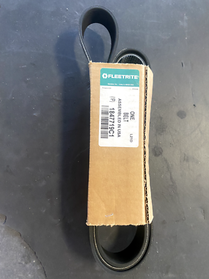 INTERNATIONAL NAVISTAR SERPENTINE BELT 1847719C1 | eBay