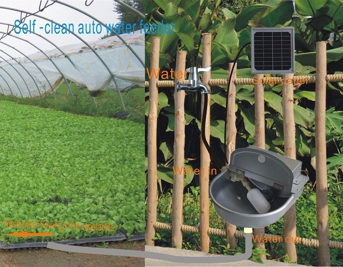 Solar powered water dispenser with automatic drain and fill for animals ...