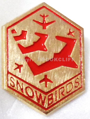 R.C.A.F. SNOWBIRDS Canadian Forces Aerobatic TEAM Pin | eBay