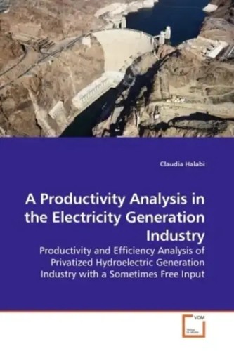 Claudia Halabi | A Productivity Analysis in the Electricity Generation ...
