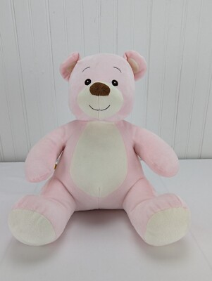Build A Bear Hug A Cub Pink Teddy Bear Plush Stuffed Animal 2013 Asthma ...