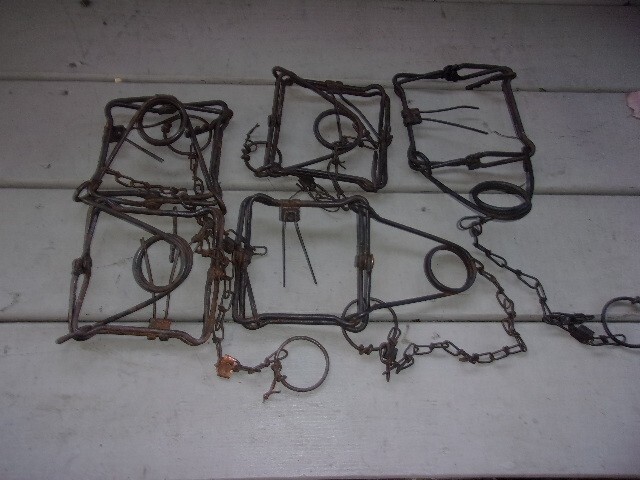 LOT 5 BODY TRAPS CONIBEAR # 110 TRAPS WORKING USED | eBay